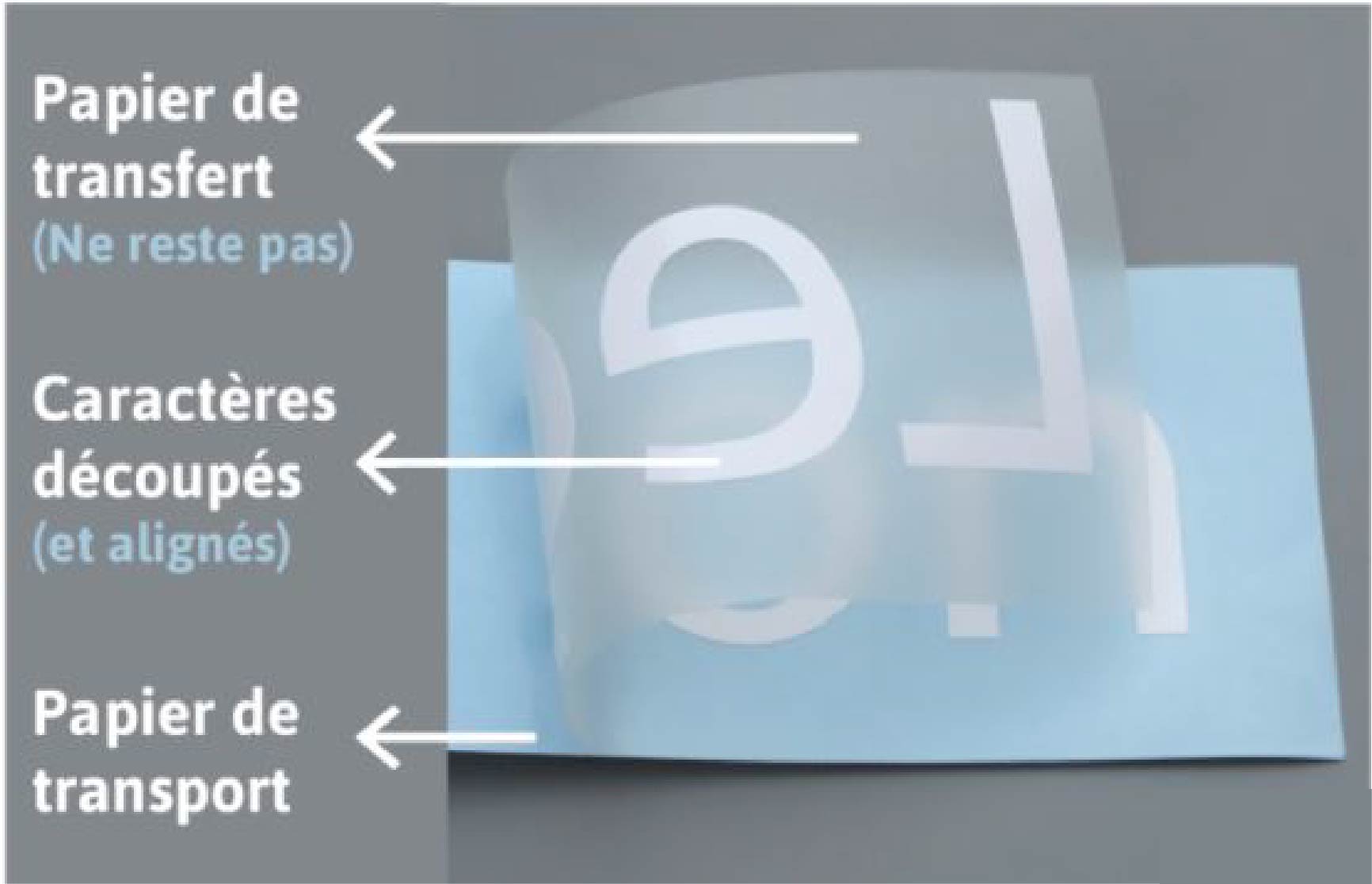 Lettrage adhésif sur mesure et autocollant personnalisé