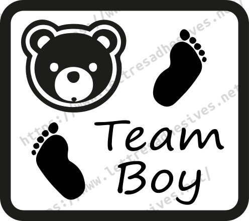 Stickers autocollants pour célébrer joyeusement le Gender Reveal